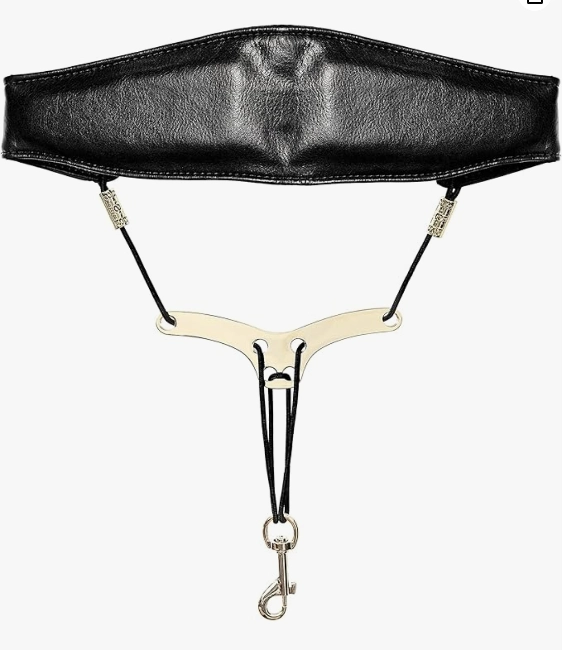 Best Inexpensive Alto Saxophone Neck Strap for Under $20